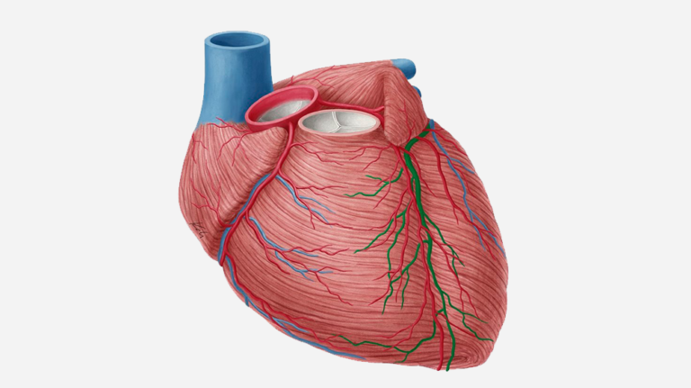 Echo Bubble Study - Dr Khan Consultant Cardiologist